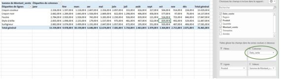 Tableau Croisé Dynamique EXCEL: le maîtriser en 1 HEURE